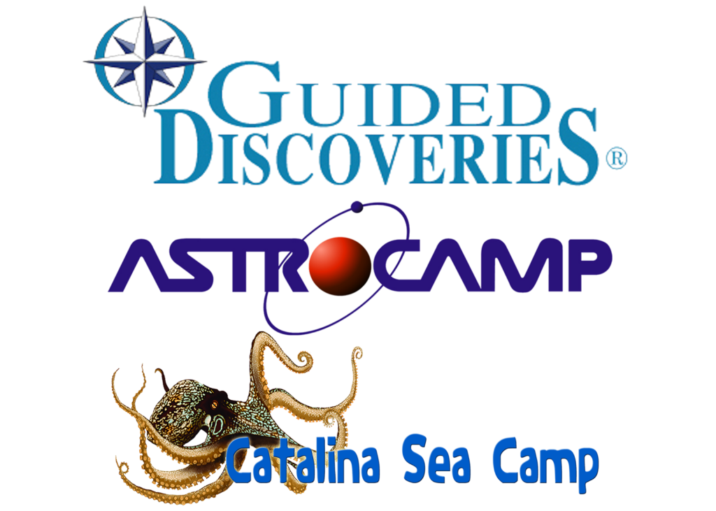 RMHCSC Walk for Kids - Camp Ronald McDonald for Good Times